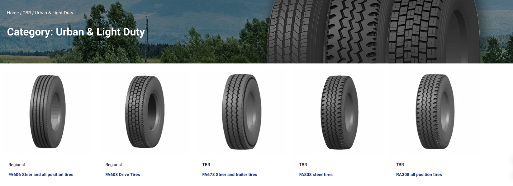 Frideric Tires from Top Truck Tire Manufacturer in China
